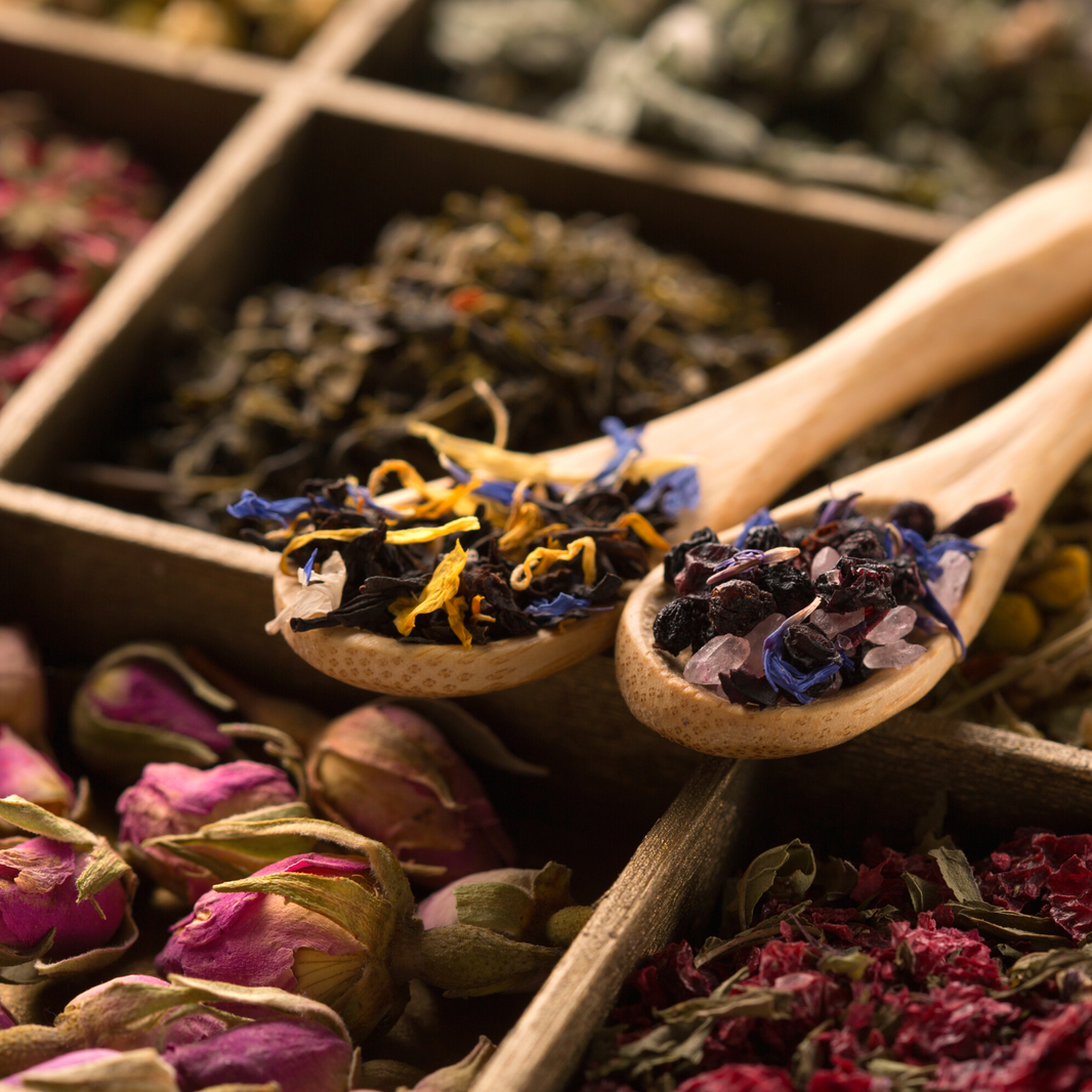 Loose Leaf & Cold Brew Teas | Scented Leaf Tea House