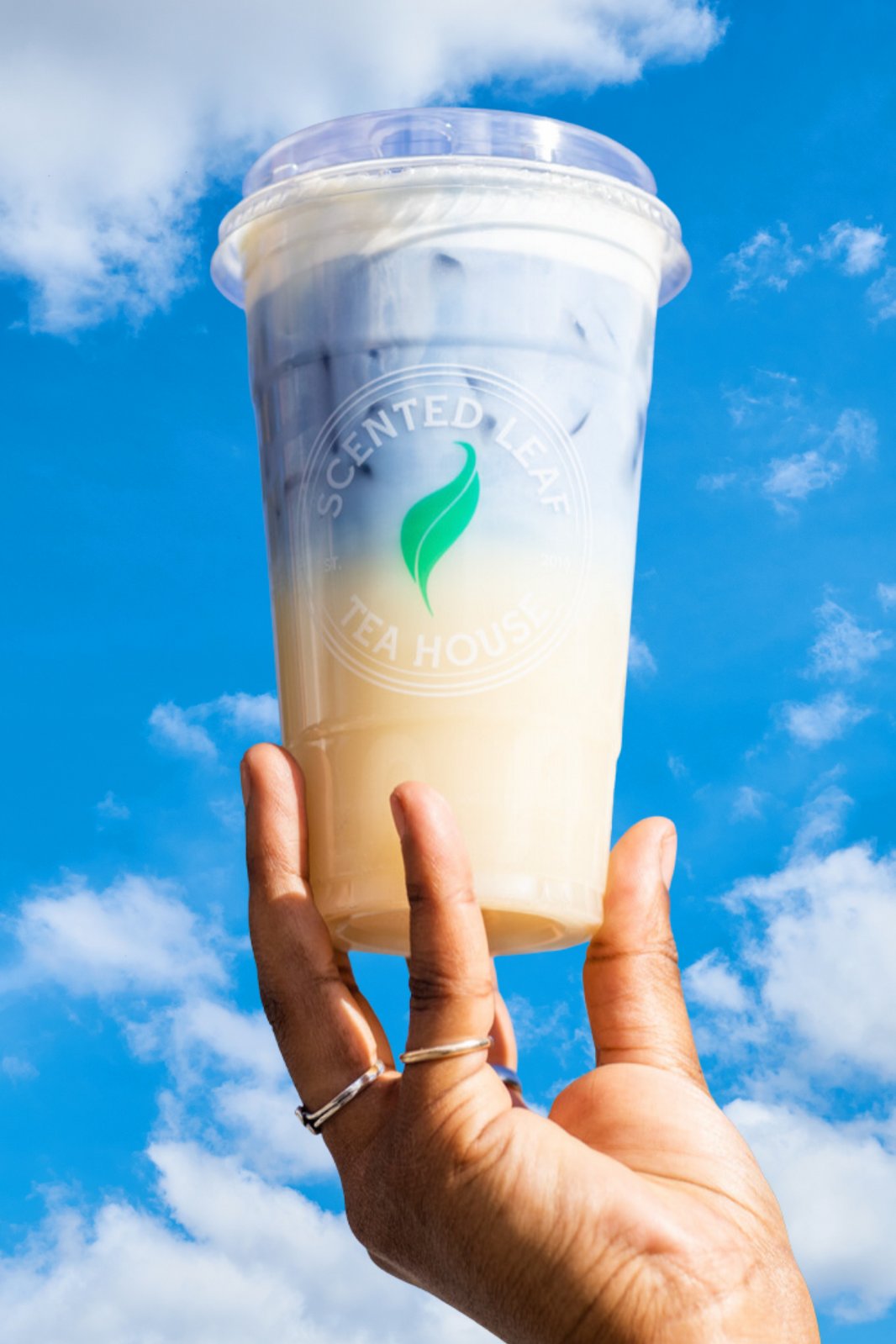 Loose Leaf & Cold Brew Teas | Scented Leaf Tea House