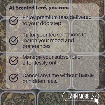 Loose Leaf & Cold Brew Teas | Scented Leaf Tea House